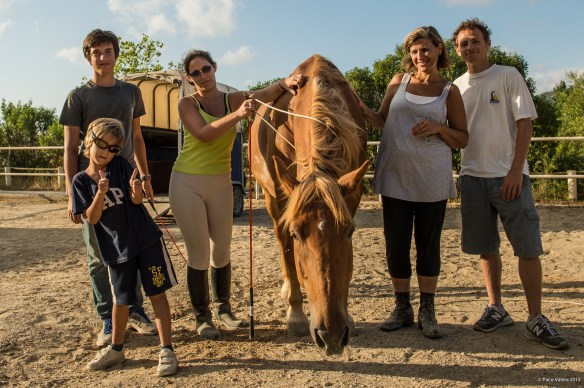 Equine Facilitated Human Development and Learning | The Next Step